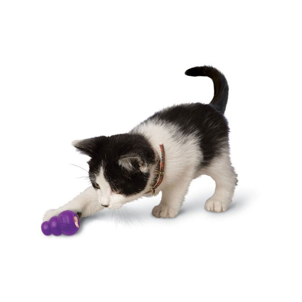 Cat Toys - Karen Pryor Clicker Training