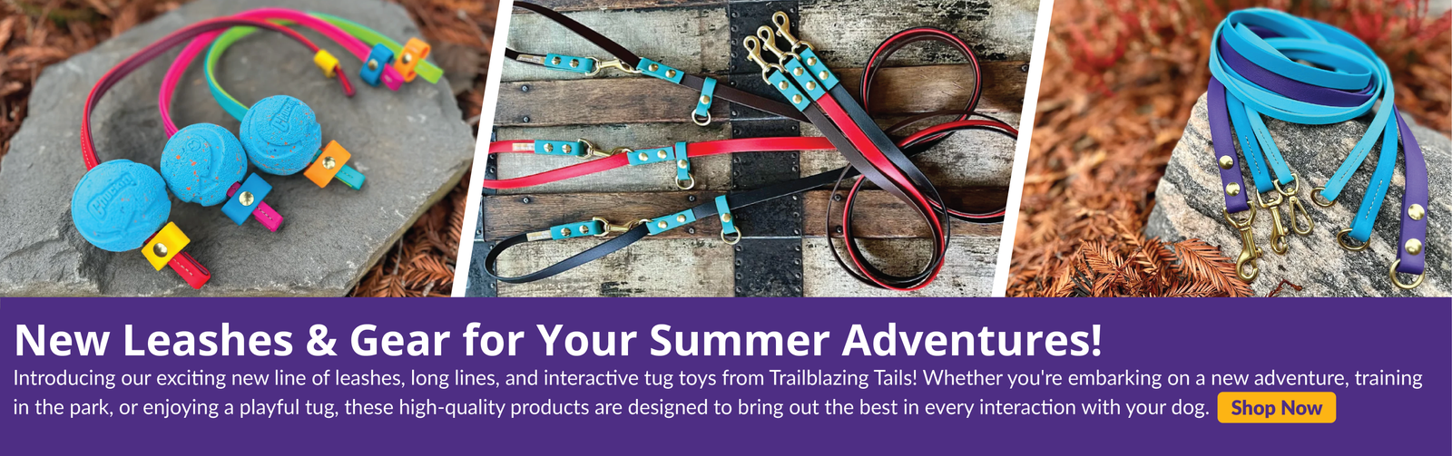 Karen Pryor Clicker Training Store