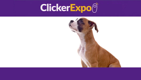 Teaching Self Control - Video on Demand - Karen Pryor Clicker Training