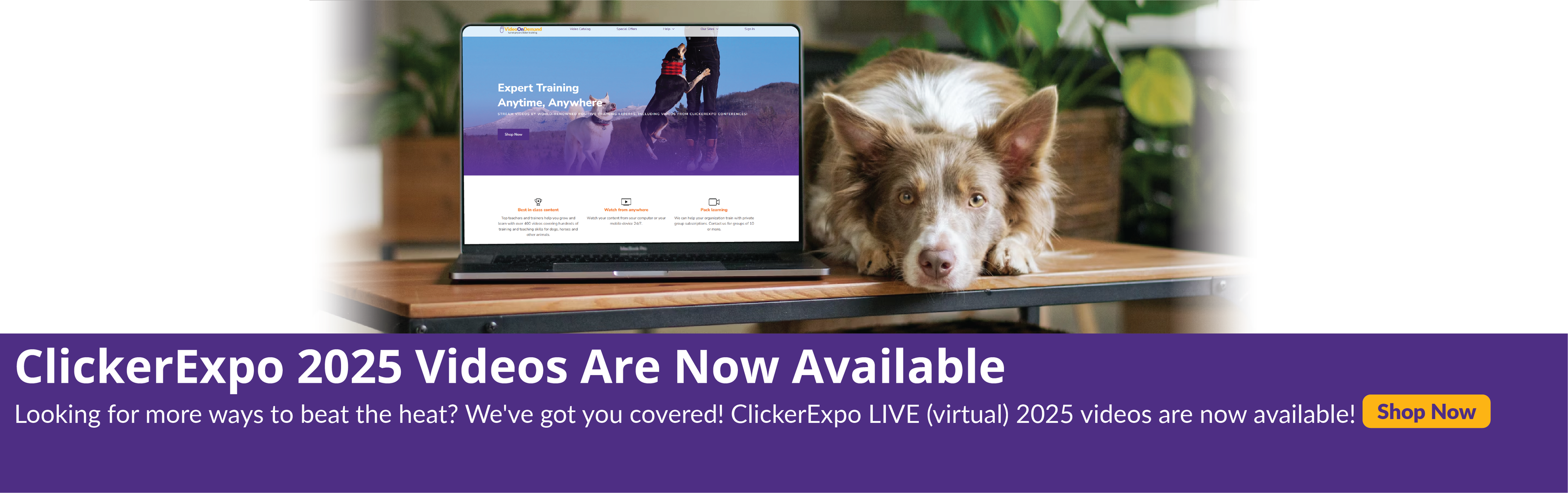 Karen Pryor Clicker Training Store