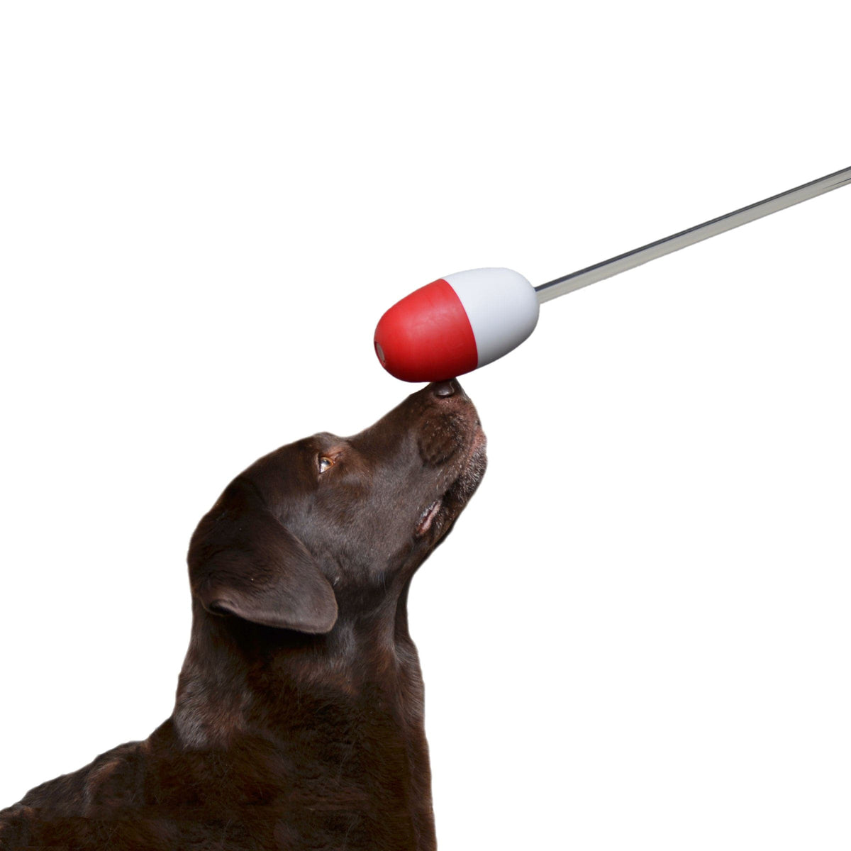 Targets - Karen Pryor Clicker Training