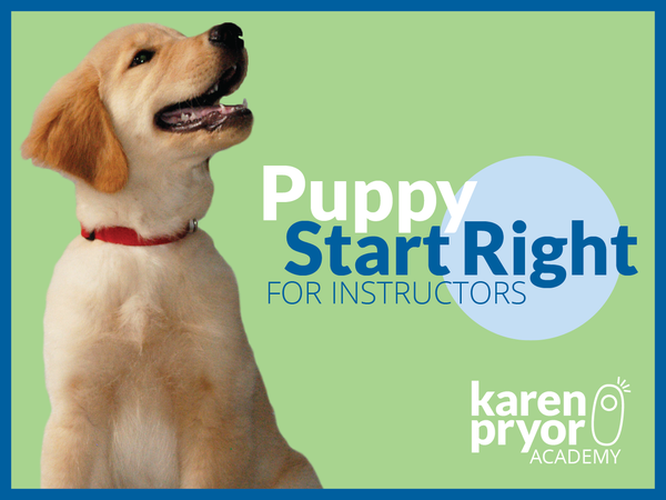 Puppy Start Right Video Access Code - Karen Pryor Clicker Training